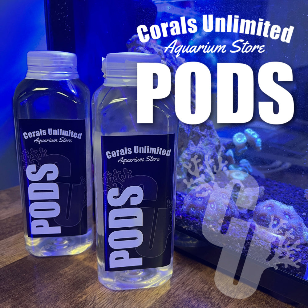 Live Copepods — Corals Unlimited